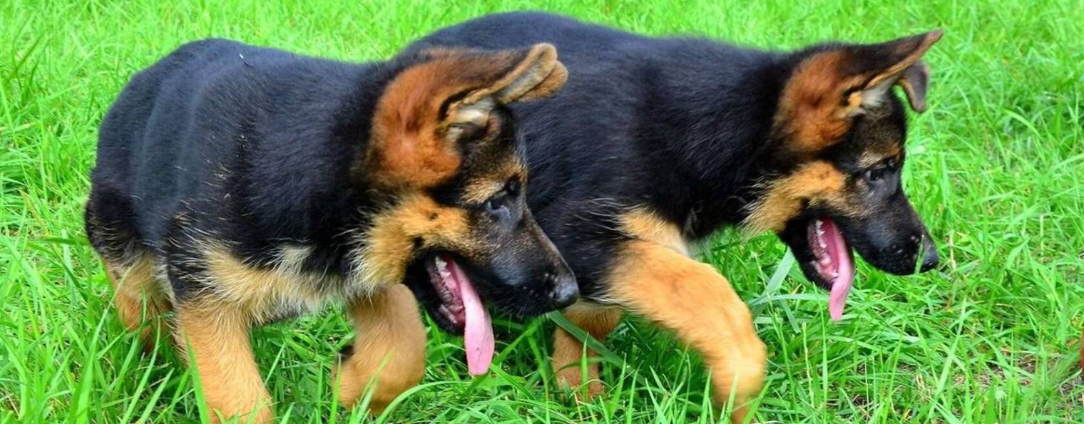 Медико-инженерный центр "Аквита"