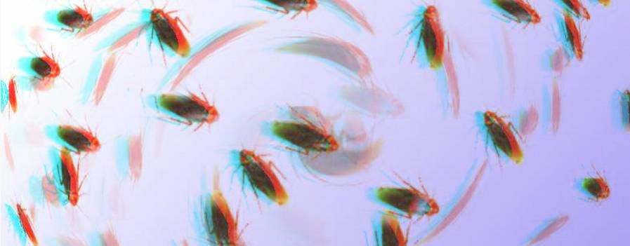 ВИА "Чемодан"