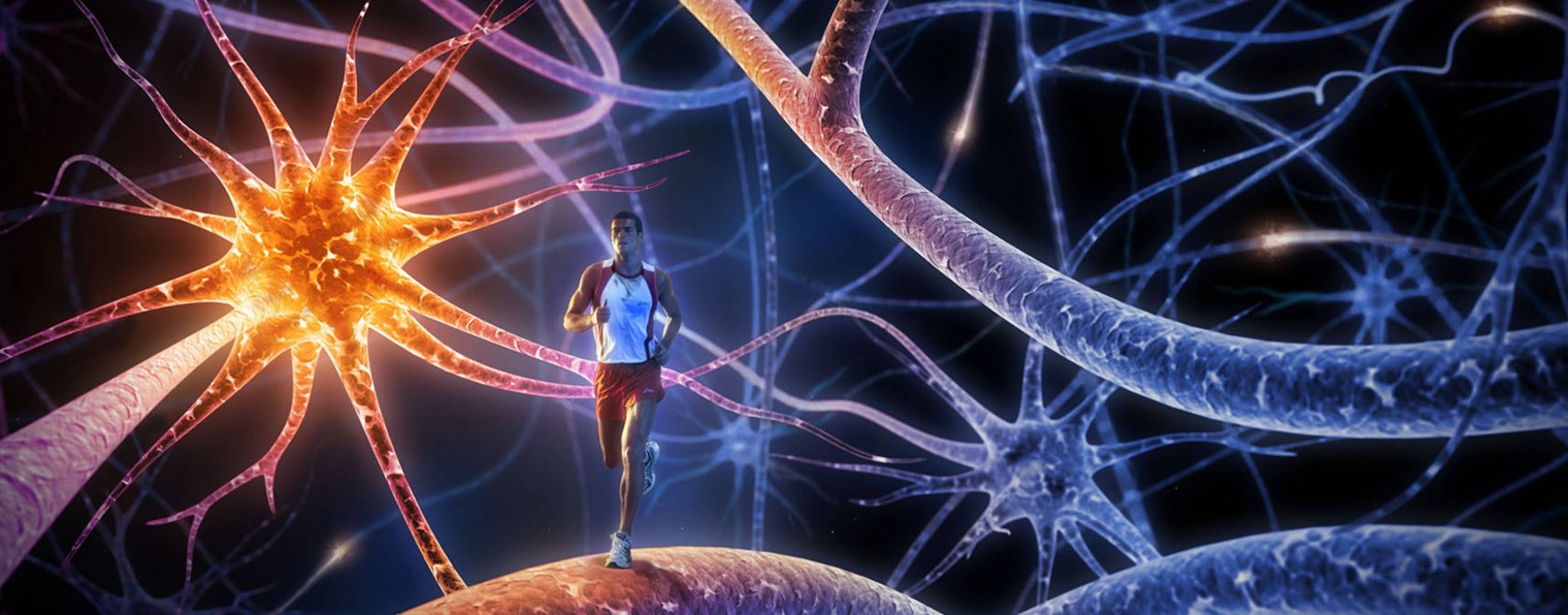 Тренинг-центр "Дизайнер жизни"