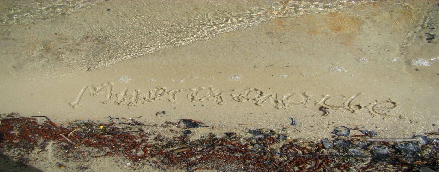 Многоголосие