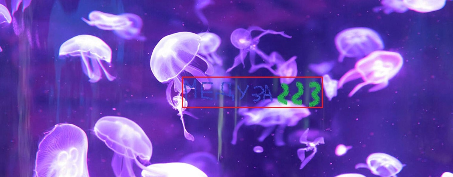 Meduza223