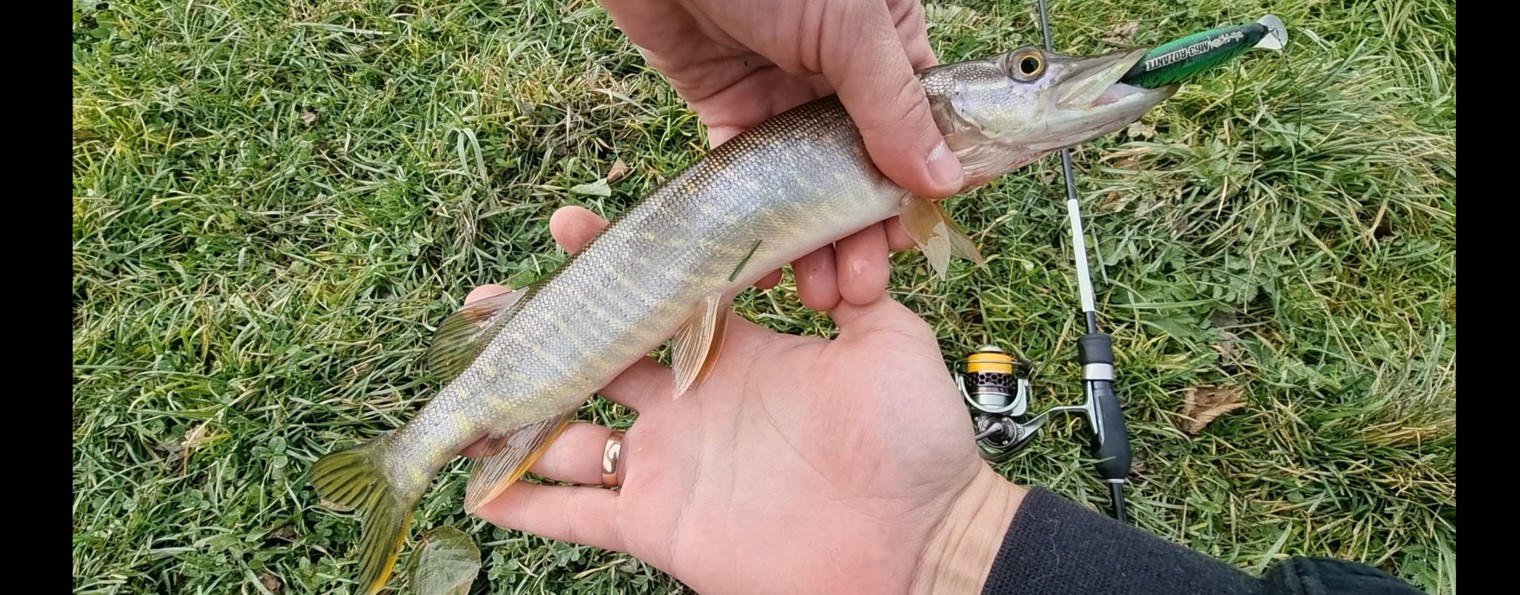 Ural Fishing
