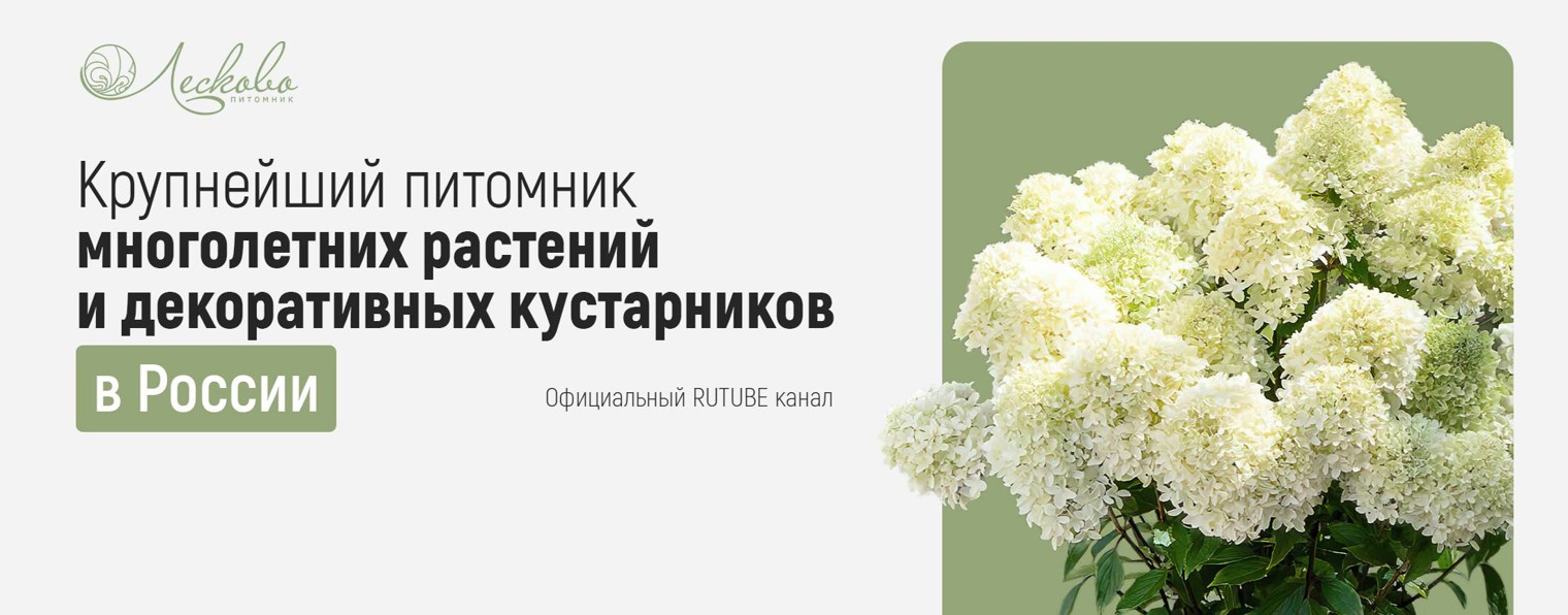 Питомник Лесково