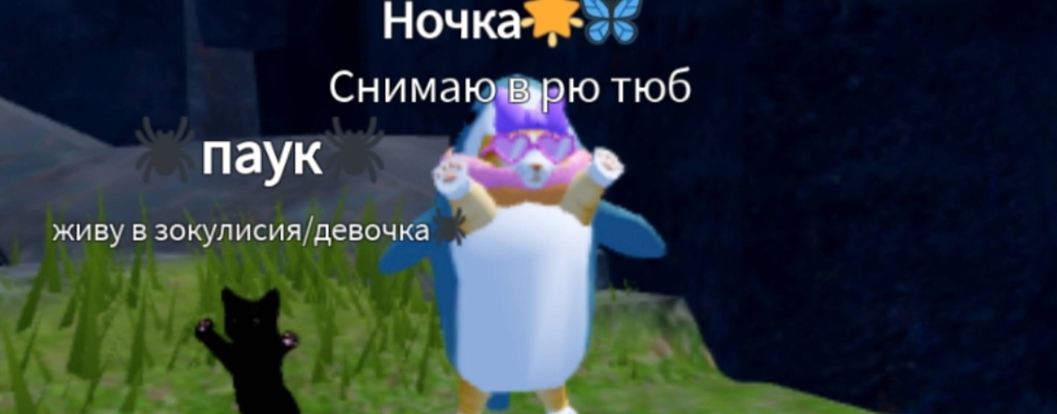 Nochka_Cat😺🌟🦋