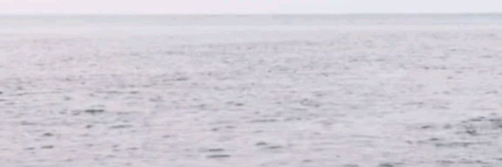 Хожу, катаюсь, путешествую.