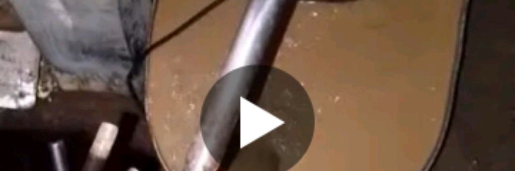 Абиссинка в теме