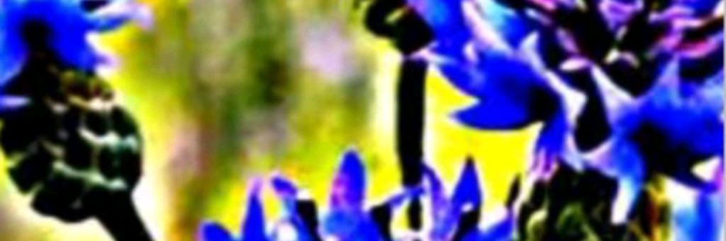 [🧊]-/Vasilisa_2024\-[🧊]