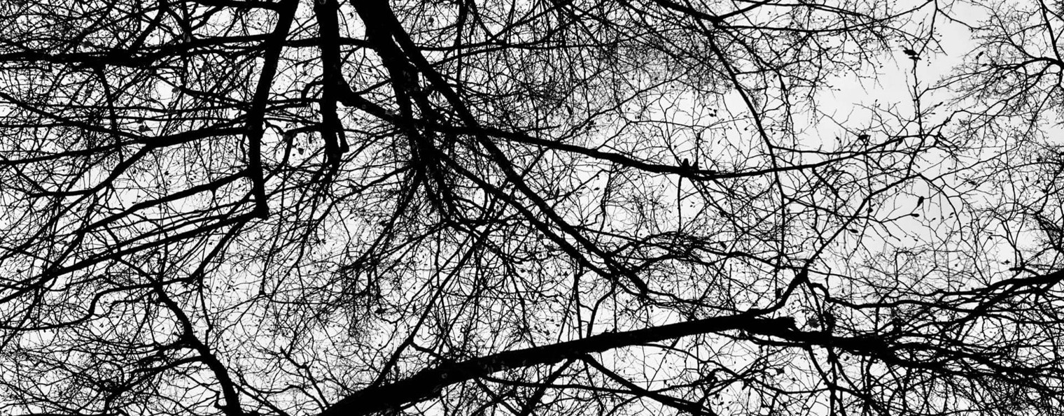 Avia Cover / Егор Летов Каверы