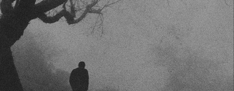 ₊ sᴏɴɢᴍɪxx ₊