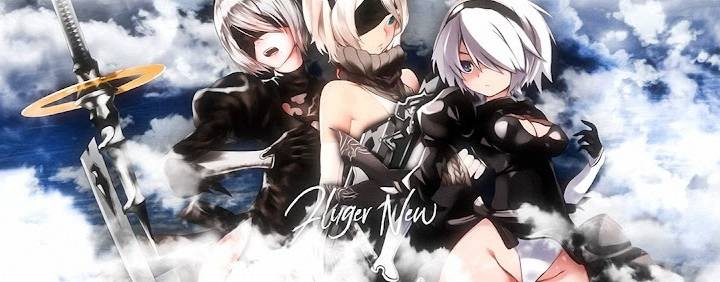 Fluger New