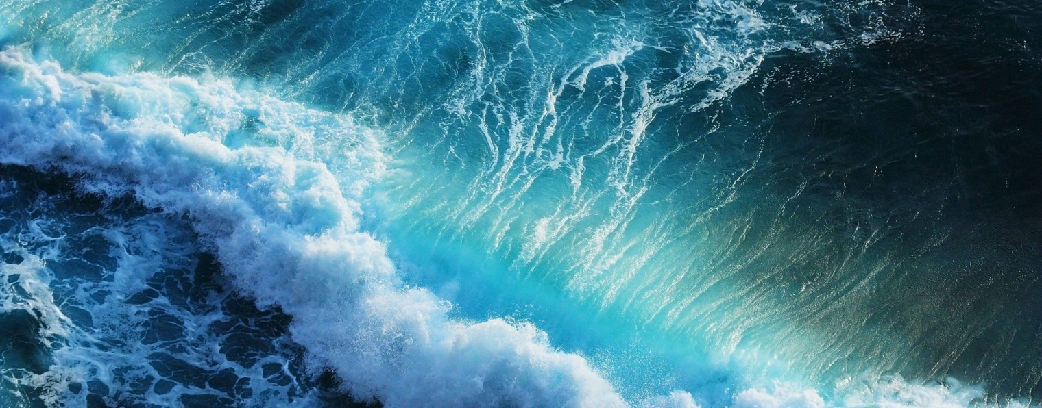 OceanMind: развитие и обучение руководителей