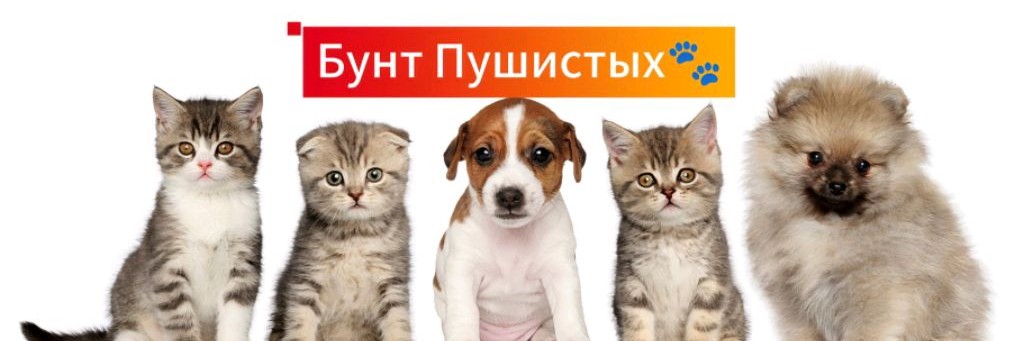 Бунт Пушистых