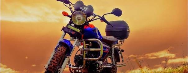 Rider