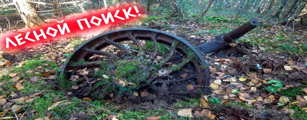 Лесной поиск