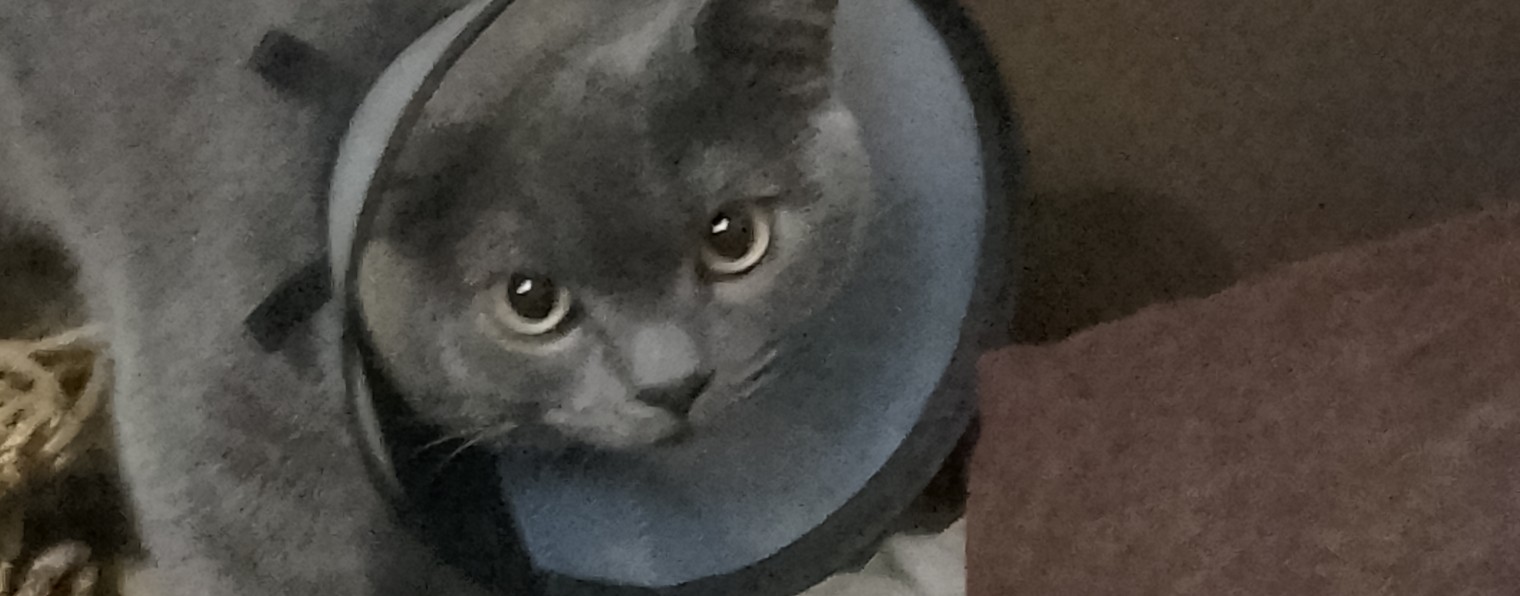 профи из Ютуба