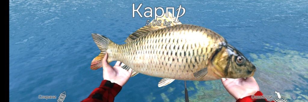 Рыбалка без охоты