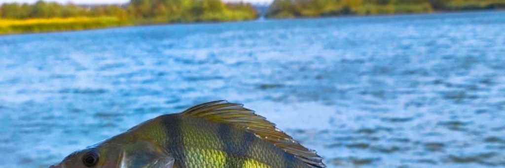 Рыбалка с Виктором