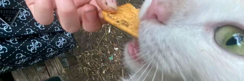 Александра Трусова❤️