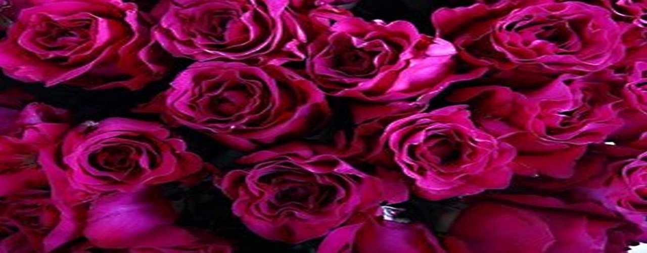 Musical Flowers