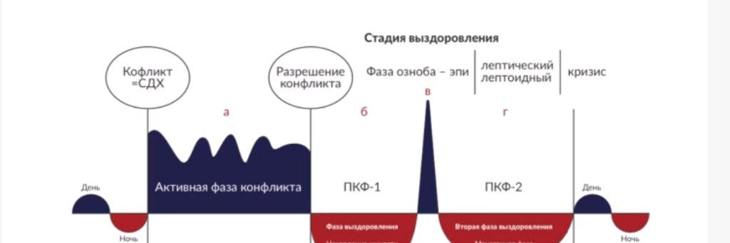 Биология тела