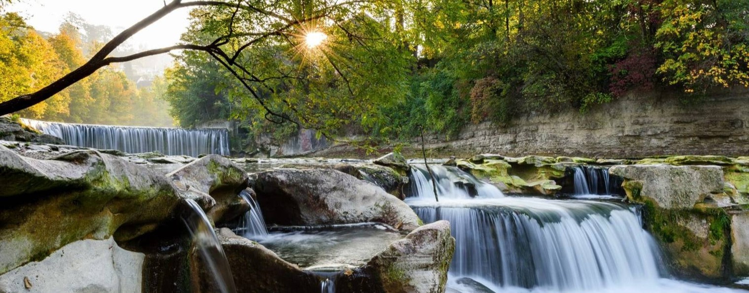 Alice_Dragons_other videos