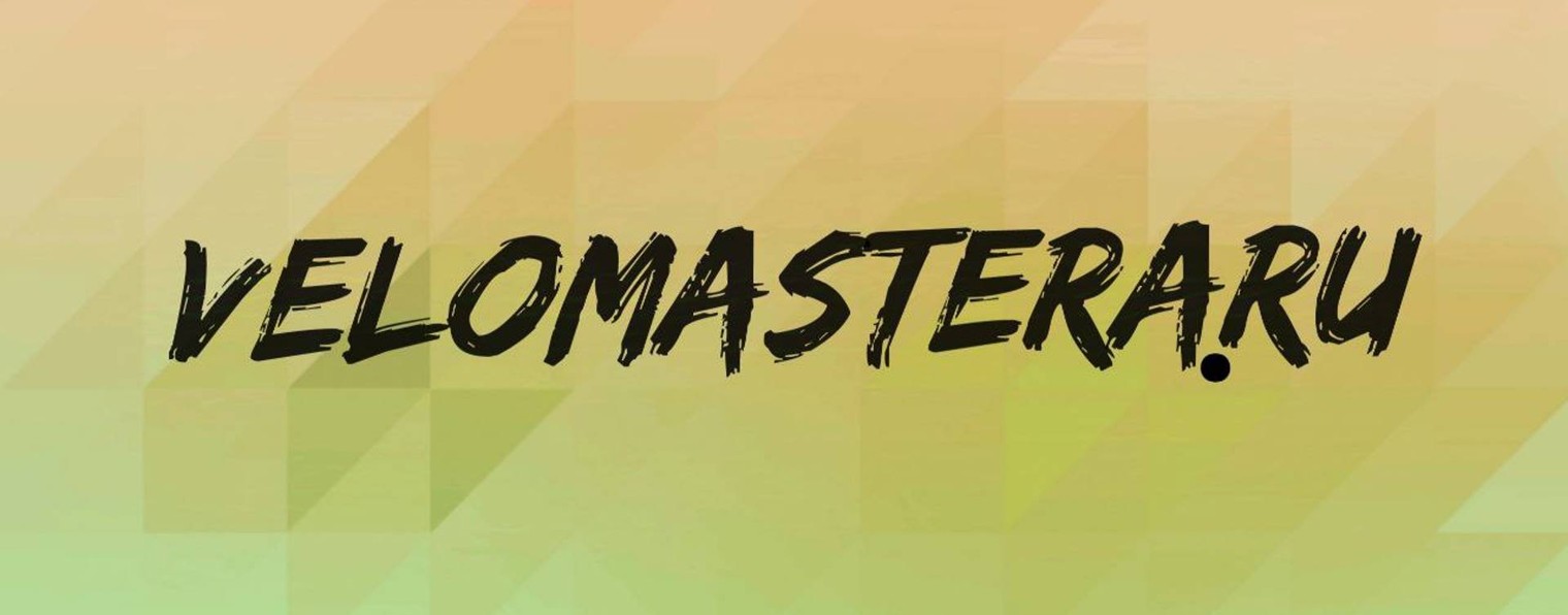 VELOMASTERA