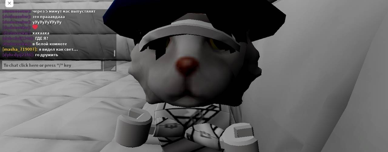 😽😼||EPIC CAT||😼😽