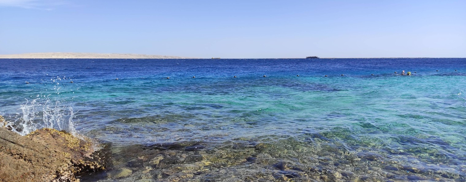 Вадим Лекомцев