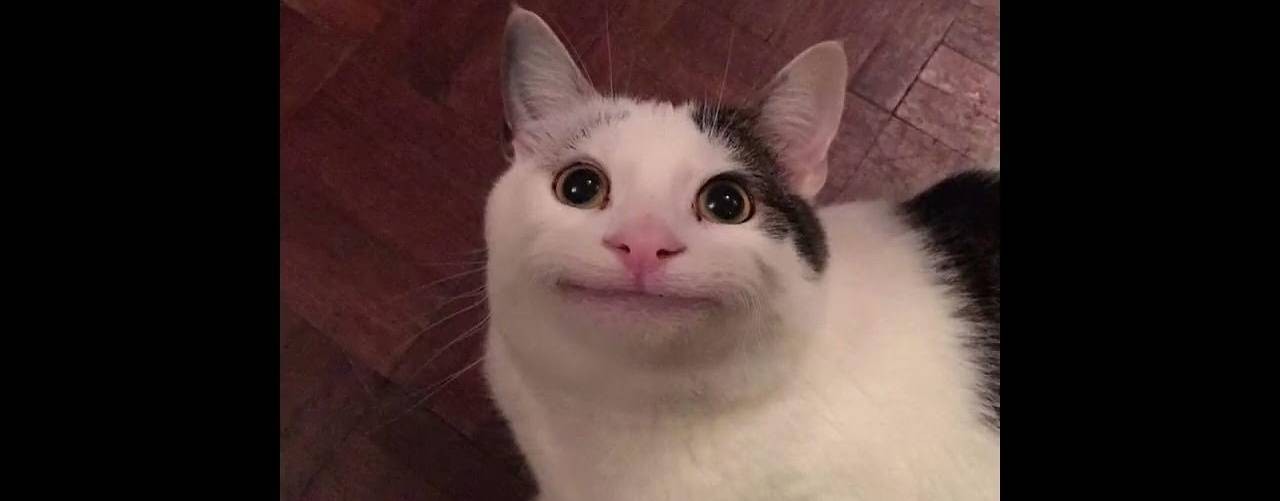 скибди доб доб доб