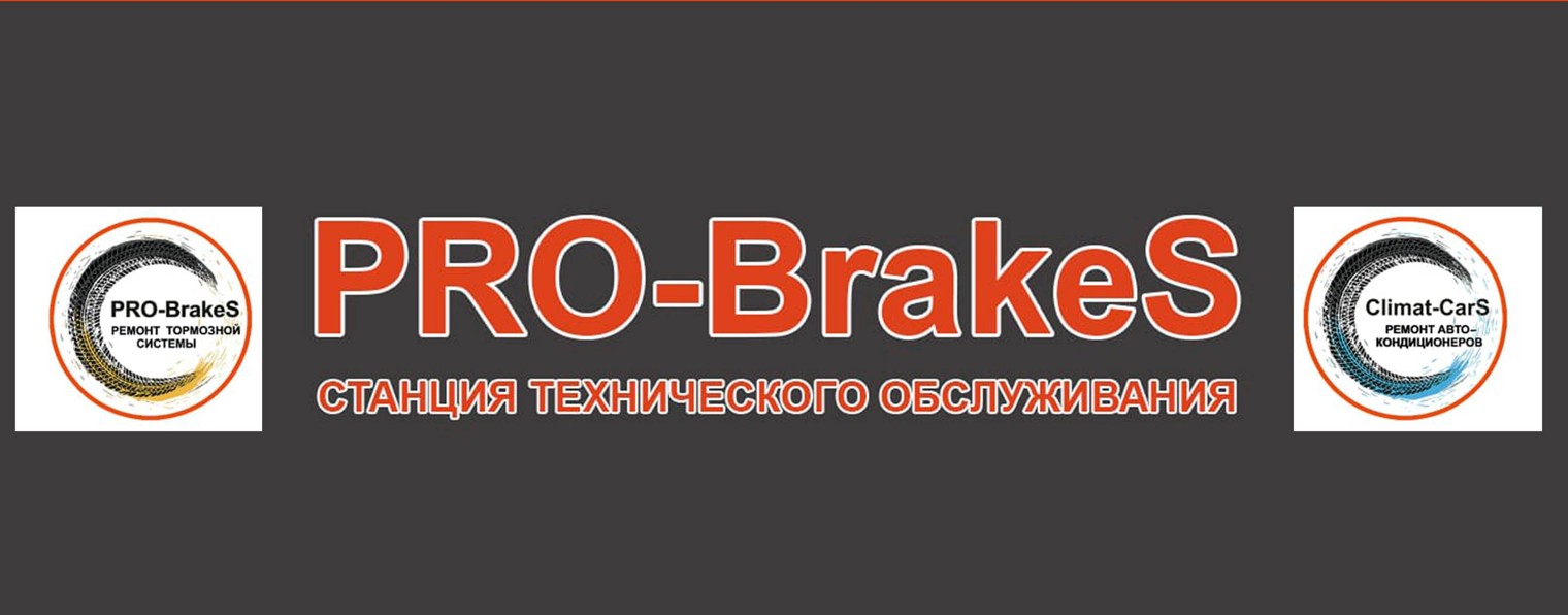 Алексей Pro-BrakeS