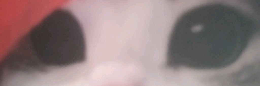 Воробейка_КВ