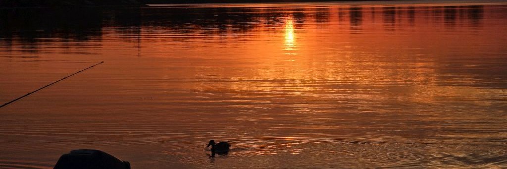 Друг подруг