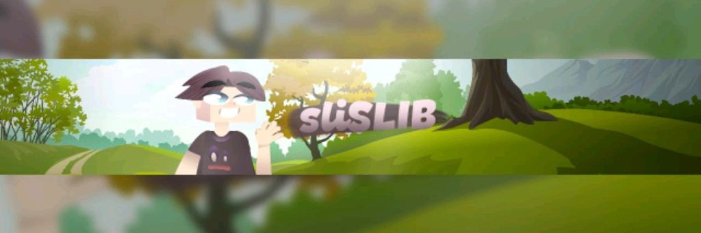 Mr. sliSLIB