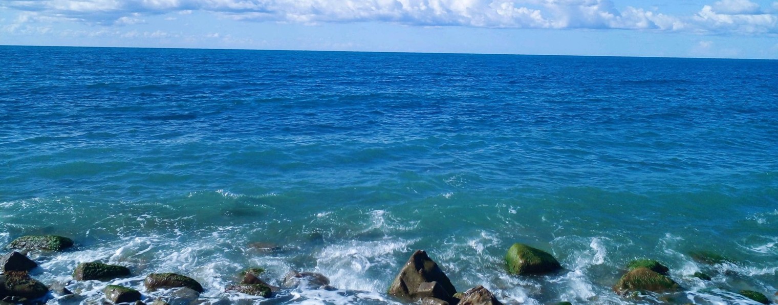 На Море и Не только