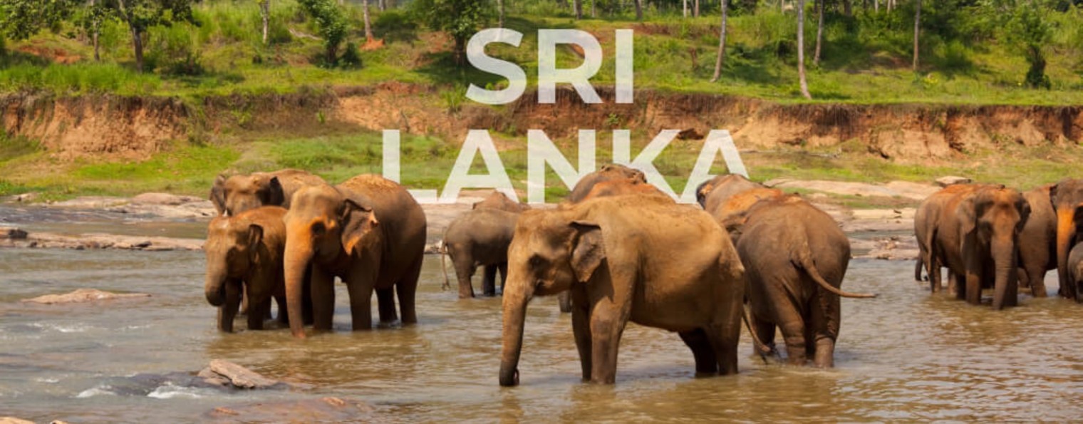 TRY-SRILANKA
