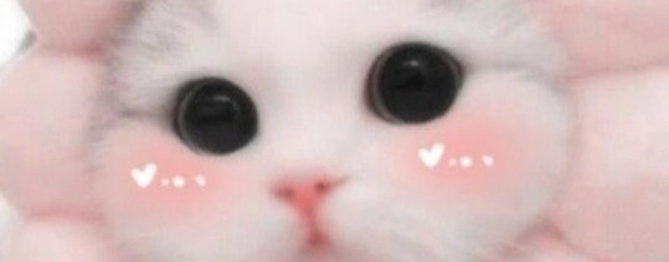Котейка