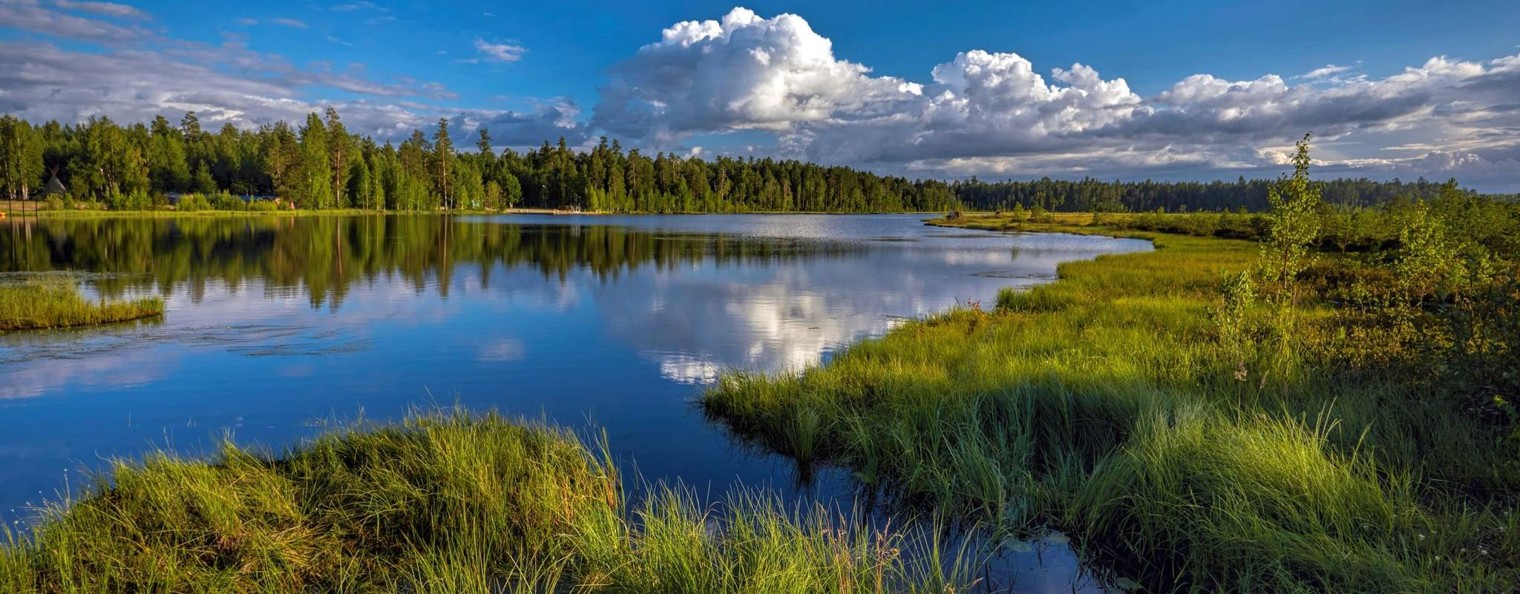 село Починки Починковский Нижегородской области