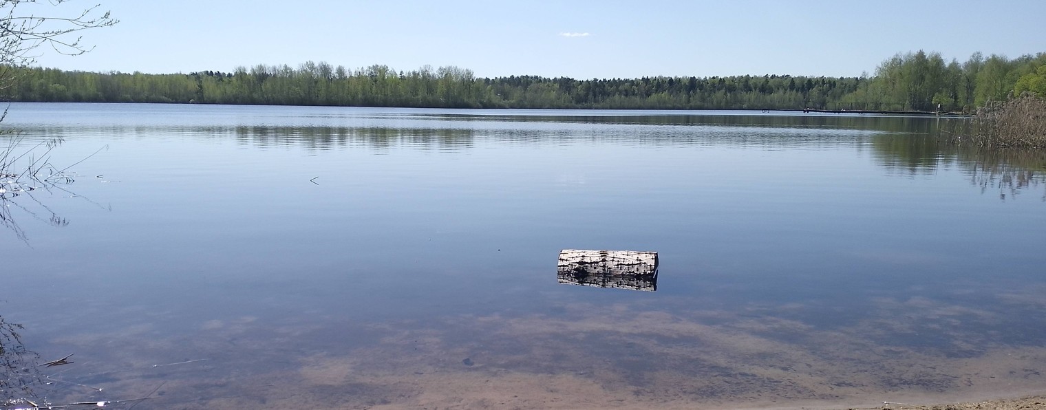 Спортивная жизнь