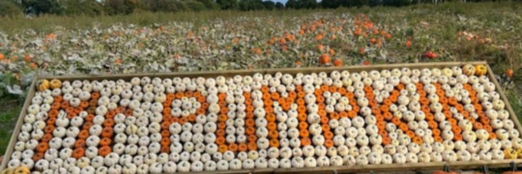 MrPumpkinRT