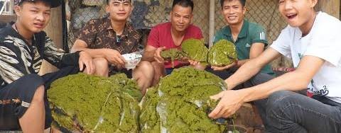 исследовать мир вокруг нас