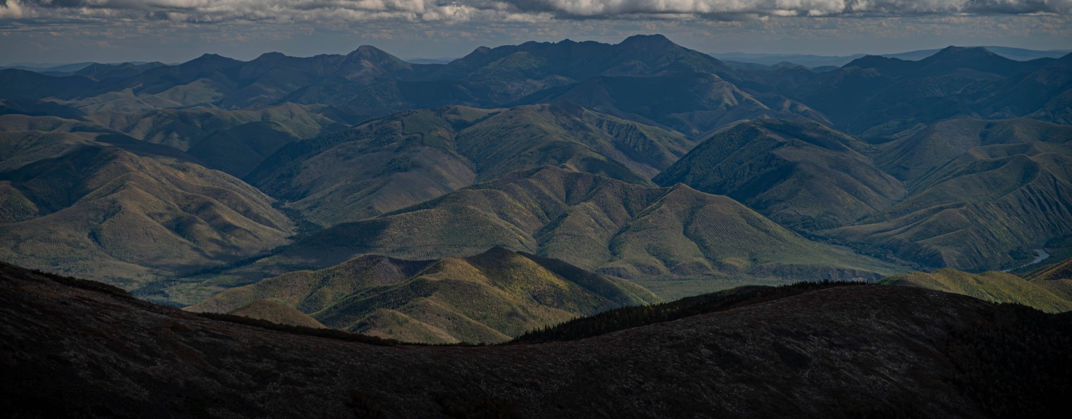 Дневник Дальневосточника