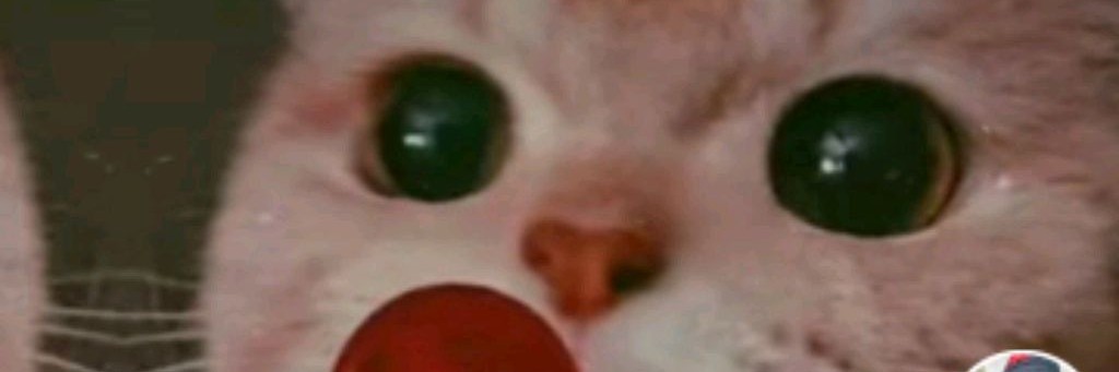 Мандаринка🍊 я вернулась!!!