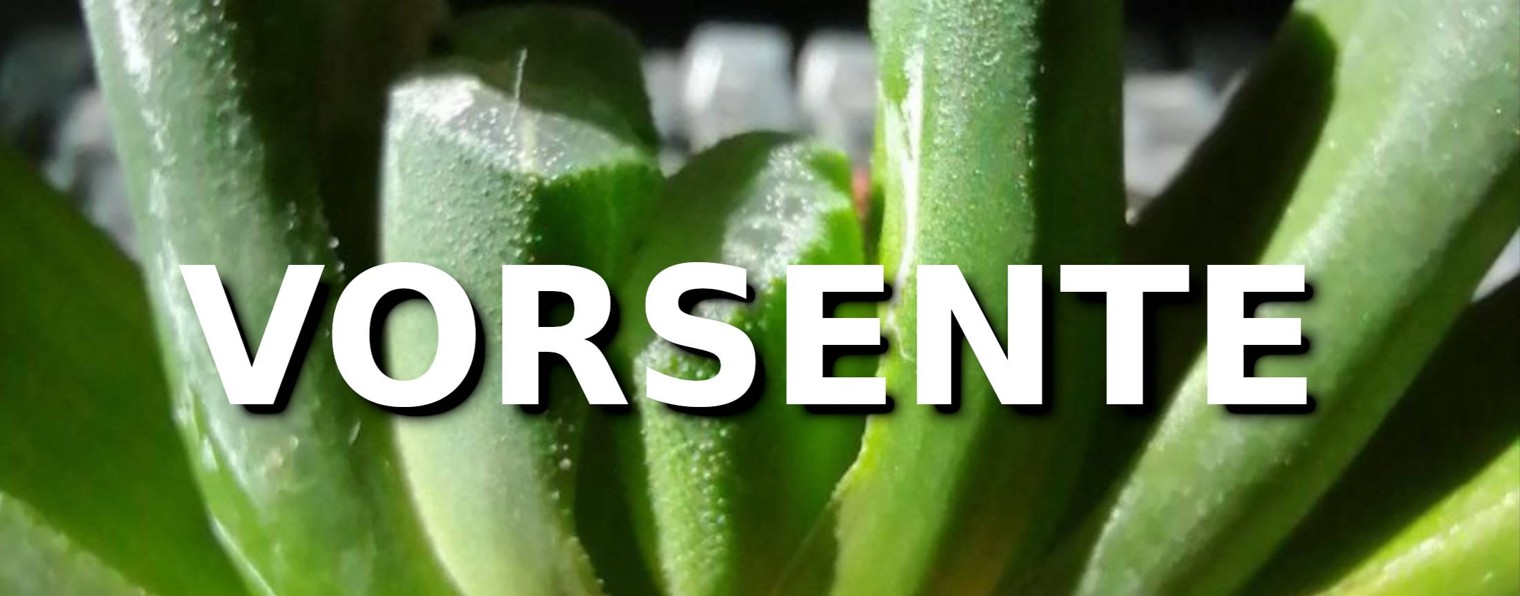 Vorsente