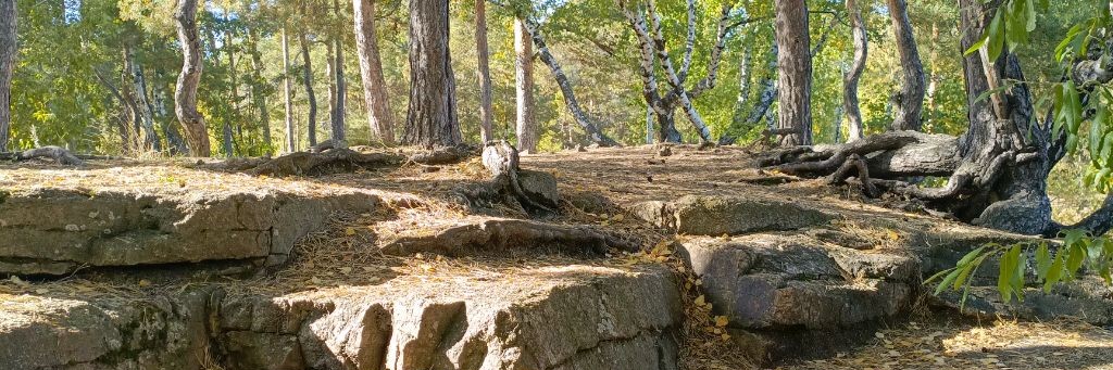 Вежливый Евгений