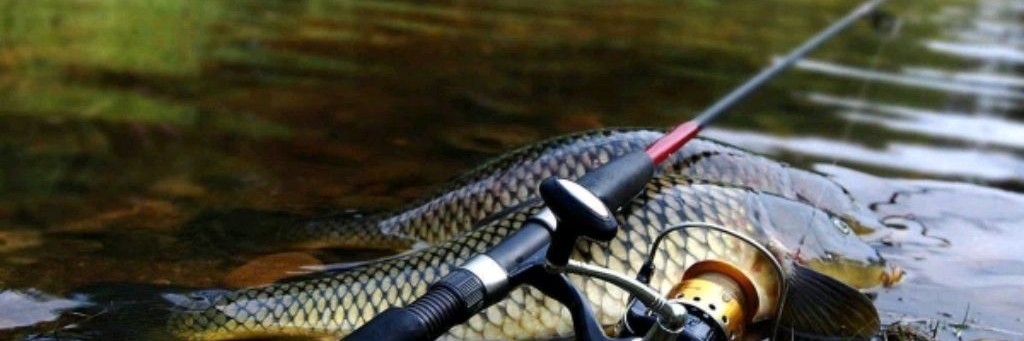 Любительская рыбалка