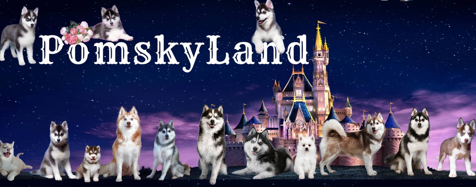 Pomskyland