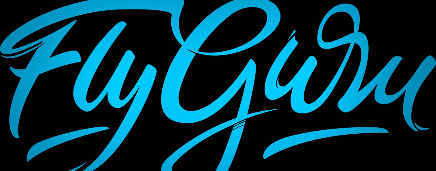 FlyGuru