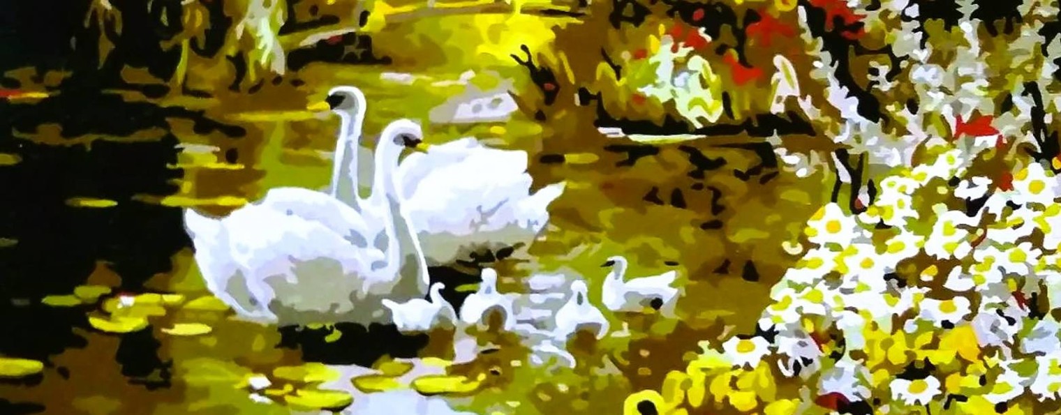 Мои увлечения