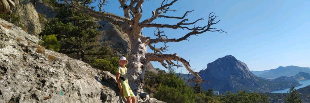 Беляев Глеб