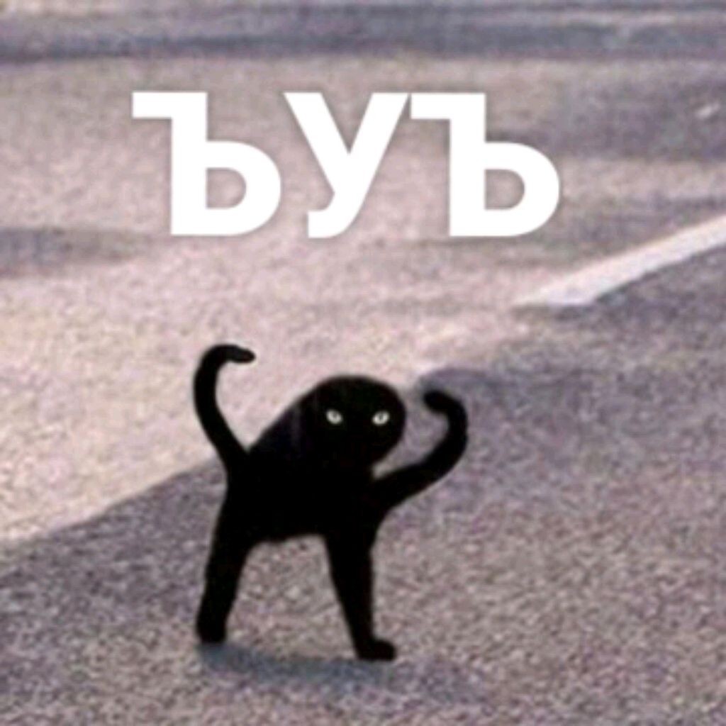 polina~🧸/играет🎧